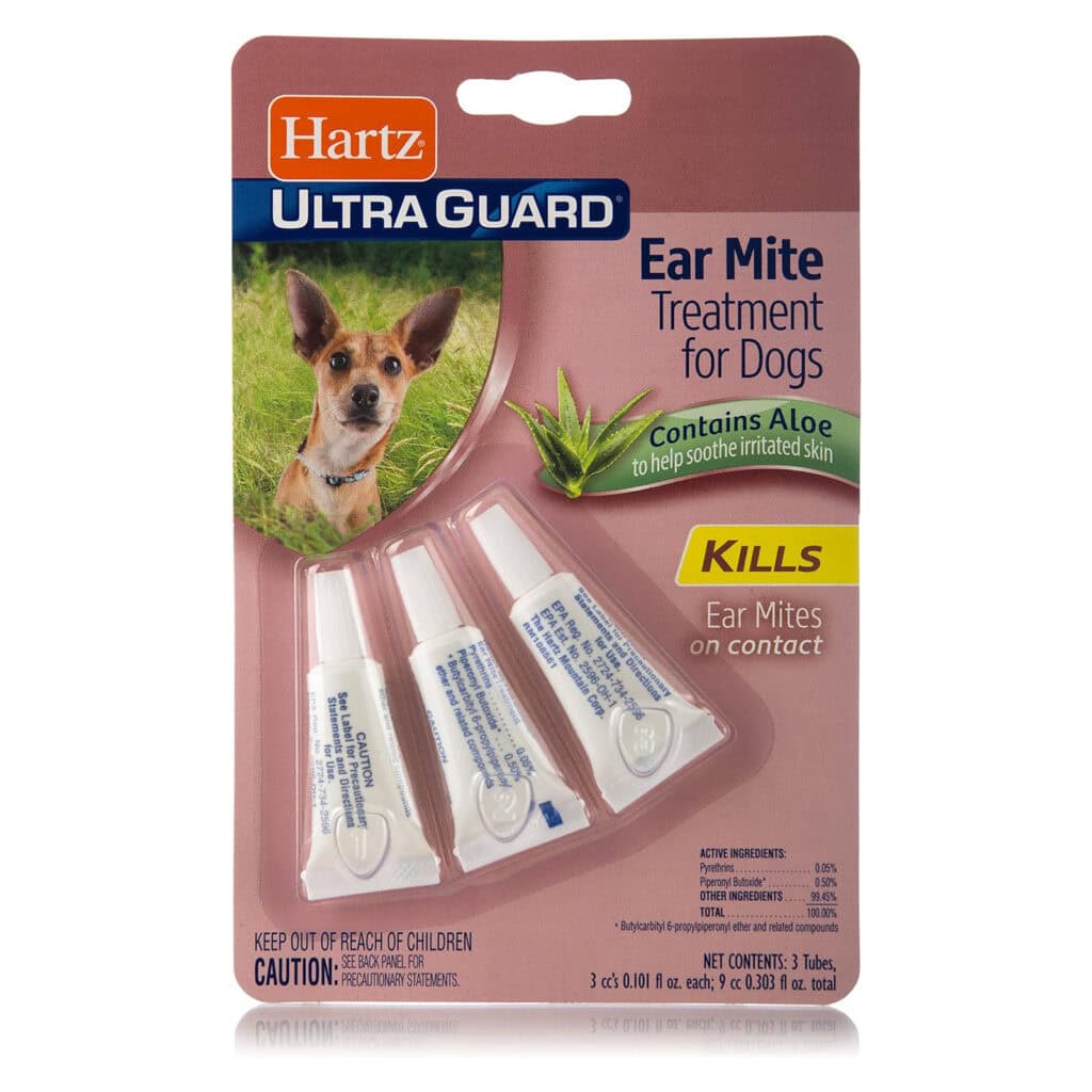 8 Best Ear Mite Treatments for Dogs in 2026 - Reviews & Top Picks ...
