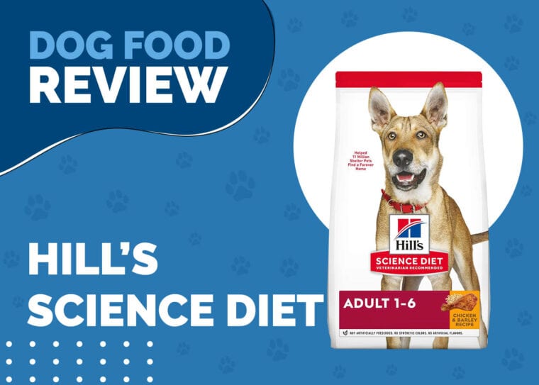 Hill's Science Diet Dog Food Review 2026: Recalls, Pros & Cons | Hepper ...