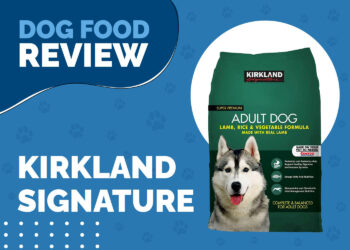 Kirkland (Costco) Dog Food Review 2026: Recalls, Pros & Cons | Hepper ...