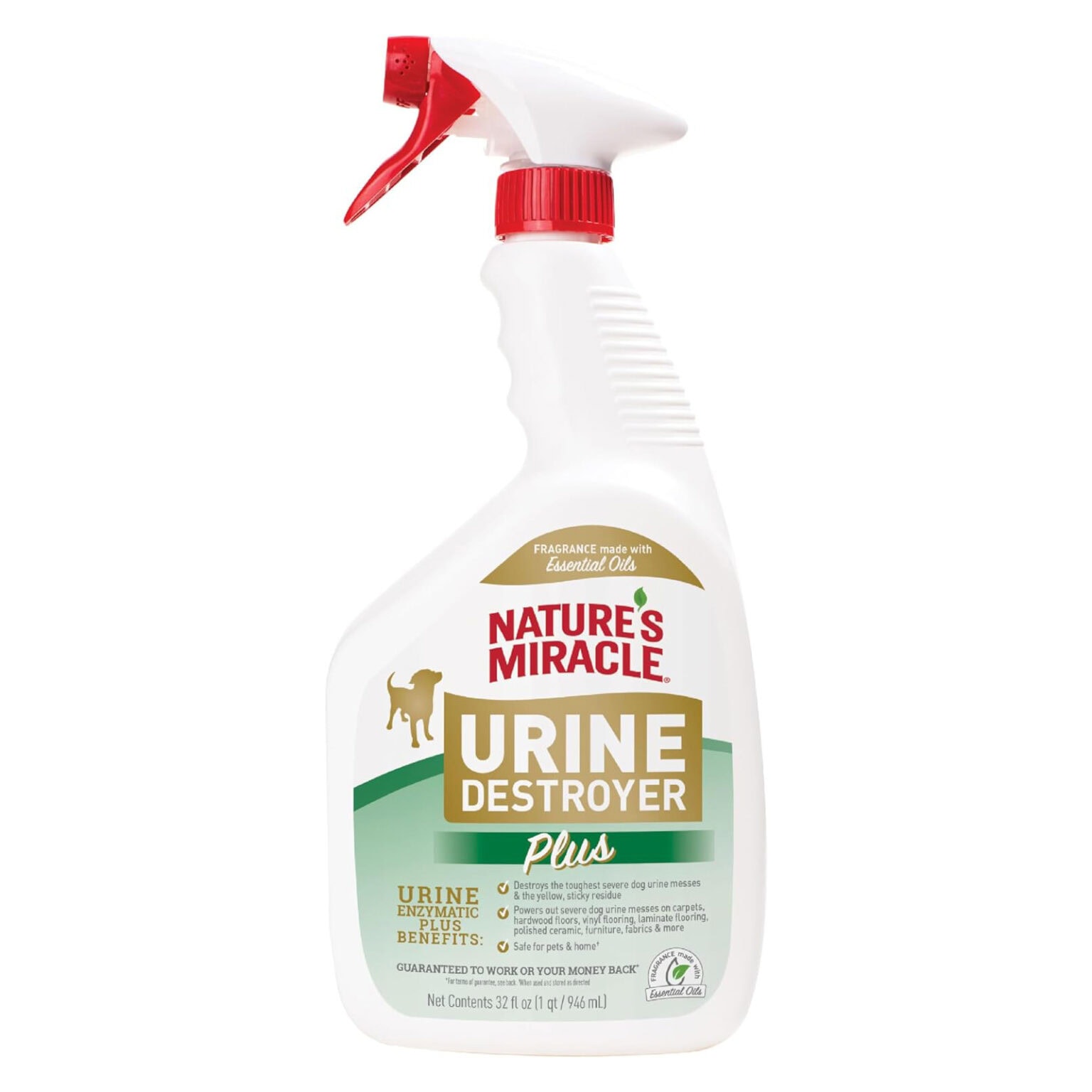 9 Best Carpet Cleaners for Dog Urine - 2026 Reviews & Top Picks ...