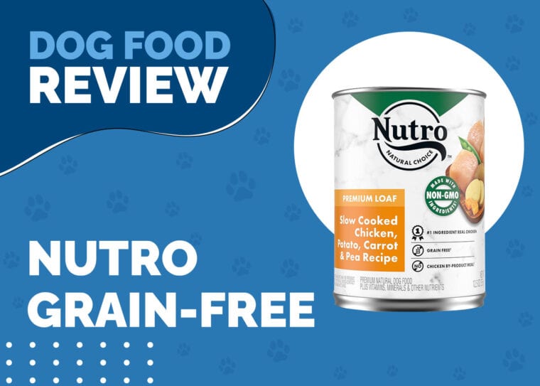 Nutro Grain-Free Dog Food Review 2026: Recalls, Pros, and Cons | Hepper ...