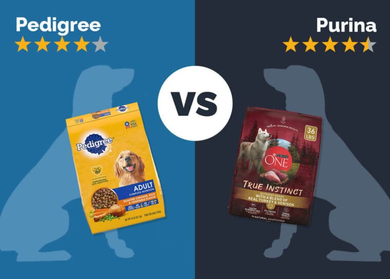 Pedigree vs Purina Dog Food: 2026 Comparison | Hepper Pet Resources