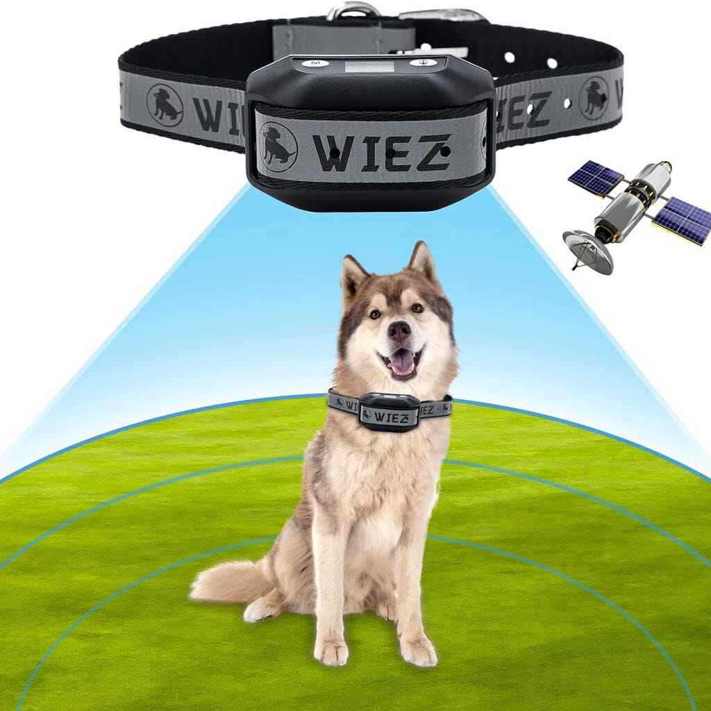 8 Best Invisible Dog Fences - 2026 Reviews & Top Picks | Hepper Pet ...