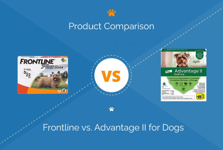 FRONTLINE Plus vs. Advantage II for Dogs: We Asked a Vet (2025 Update ...