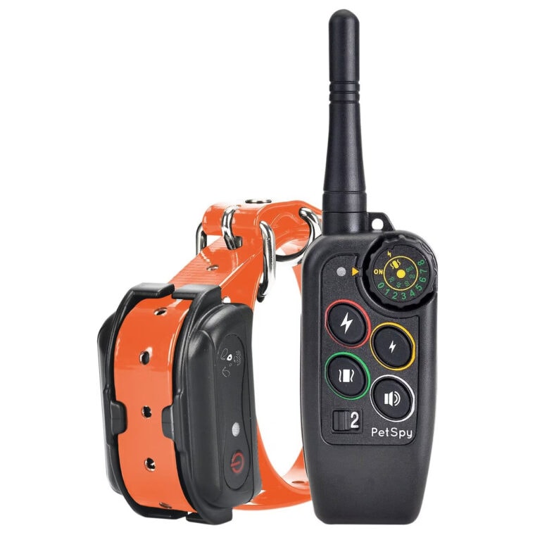 8 Best Dog Shock Collars With Remotes – 2025 Reviews & Top Picks ...