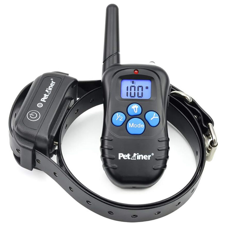 8 Best Dog Shock Collars With Remotes – 2026 Reviews & Top Picks ...