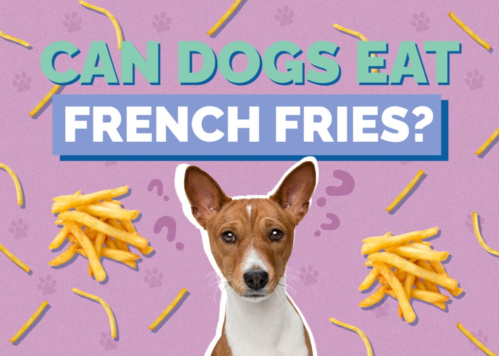 Can Dogs Eat French Fries? Are French Fries Safe for Dogs? | Hepper Pet ...