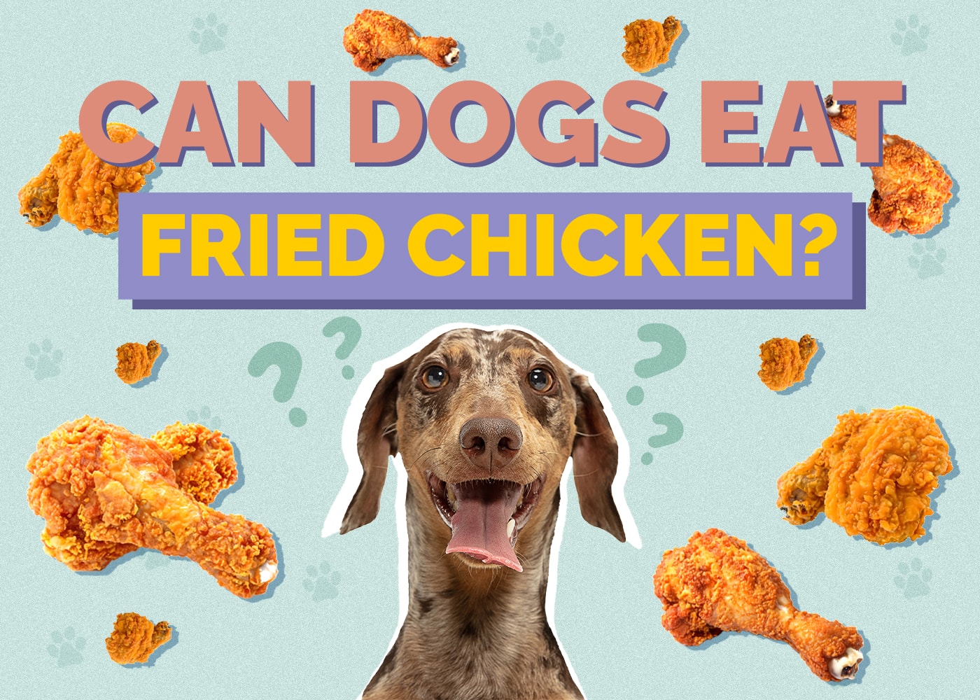 Can Dogs Eat Fried Chicken? Vet Approved Facts & FAQ | Hepper Pet Resources
