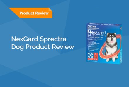Nexgard Spectra Review 2026: Pros, Cons, & Verdict | Hepper Pet Resources