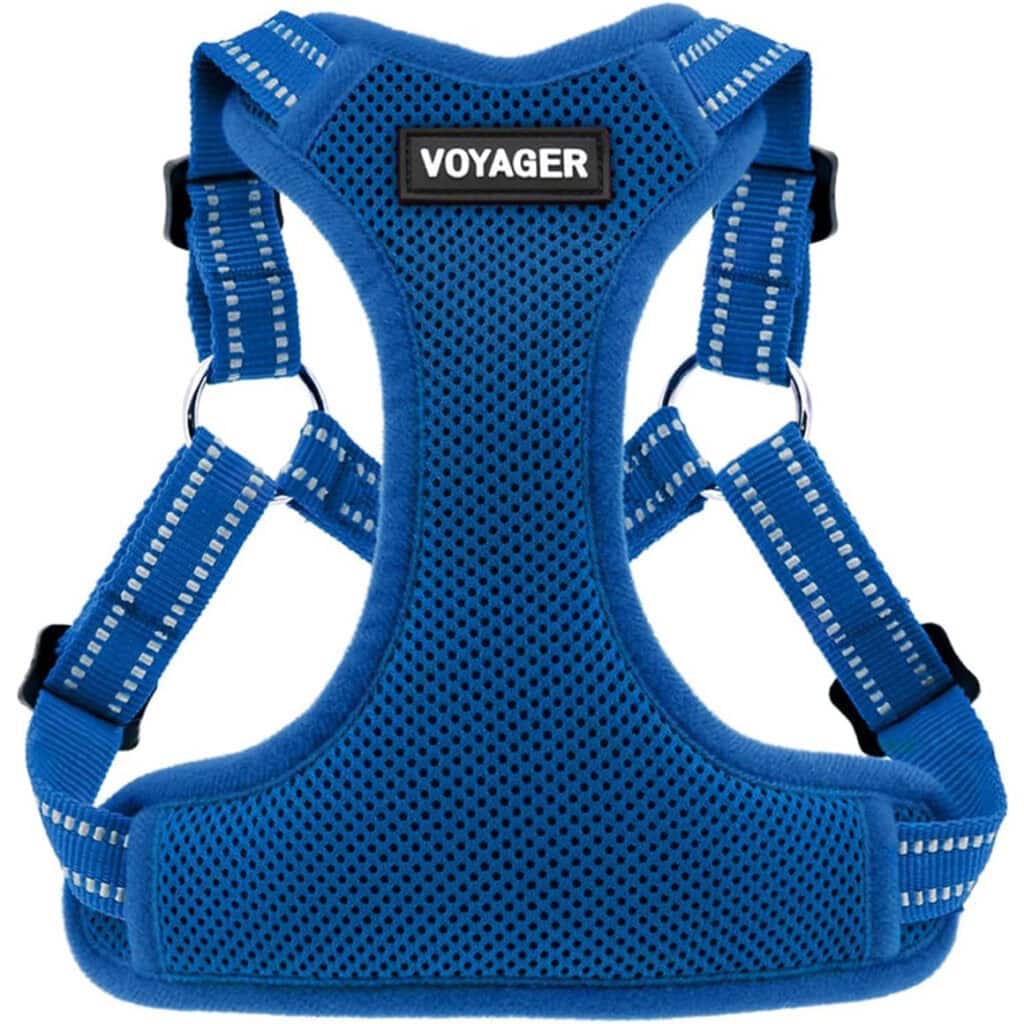 10 Best Step-In Dog Harness 2026 - Reviews & Top Picks | Hepper Pet ...