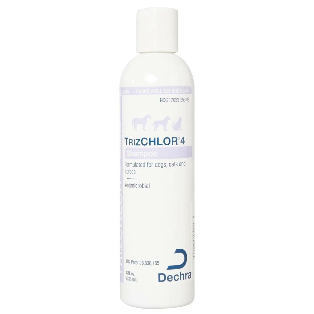 10 Best Dog Shampoos for Yeast Infections in 2026 - Reviews & Top Picks ...