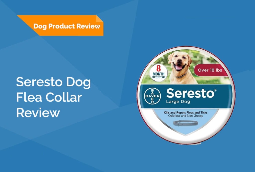Bayer Seresto Flea and Tick Collar for Dogs Review 2026: Pros, Cons ...