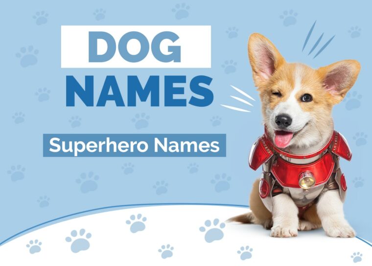 100+ Cream-Colored Dog Names: Ideas for Beige & Tan Coats | Hepper Pet ...