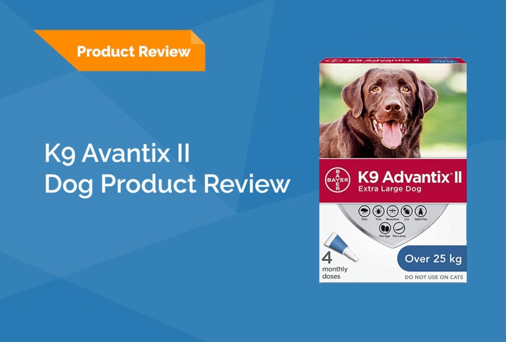 K9 Advantix II Review 2026: Pros, Cons & Verdict | Hepper Pet Resources