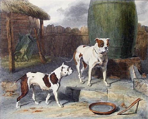 20 Extinct Dogs: Breeds That No Longer Exist (with Info & Illustrations ...