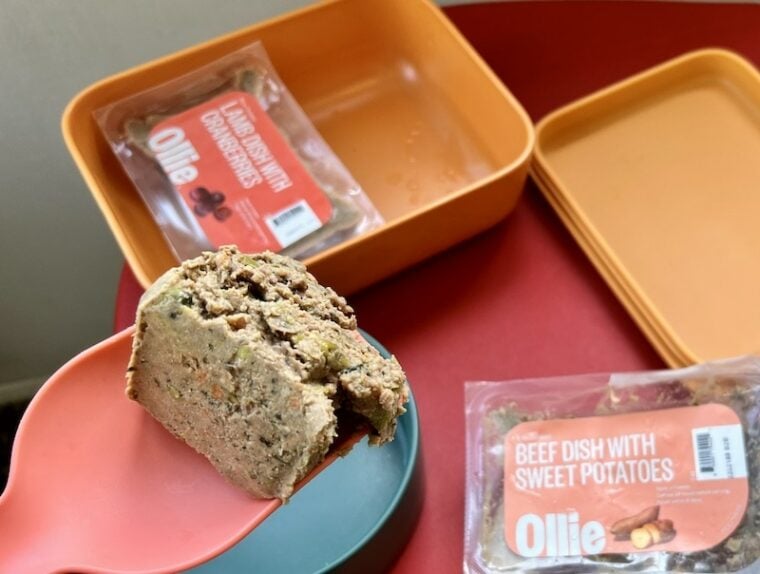 8 Best Fresh Dog Food Delivery Services in 2026 - Reviews & Top Picks ...