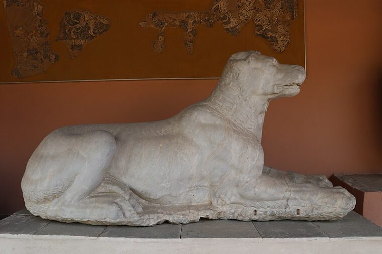 What Was the Molossus Dog? History, Extinction & Heritage | Hepper Pet ...