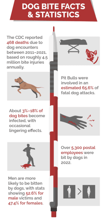 20 Surprising Dog Bite Statistics By Breed (2025 Update) | Hepper Pet ...