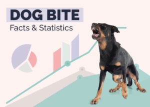 20 Surprising Dog Bite Statistics By Breed (2025 Update) | Hepper Pet ...