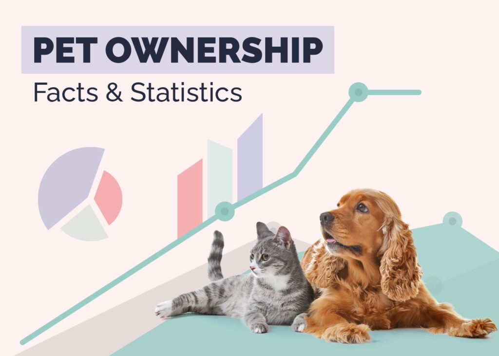 19 Pet Ownership Statistics in 2025: US Facts & Figures | Hepper Pet ...