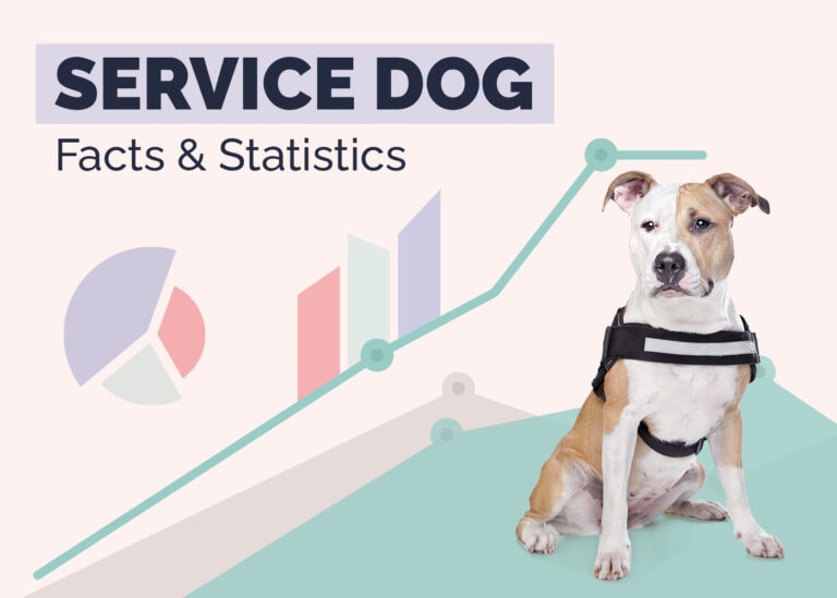 10 Interesting Service Dog Statistics (Updated in 2025) | Hepper Pet ...