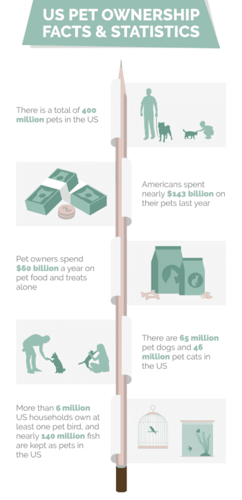 19 Pet Ownership Statistics in 2025: US Facts & Figures | Hepper Pet ...