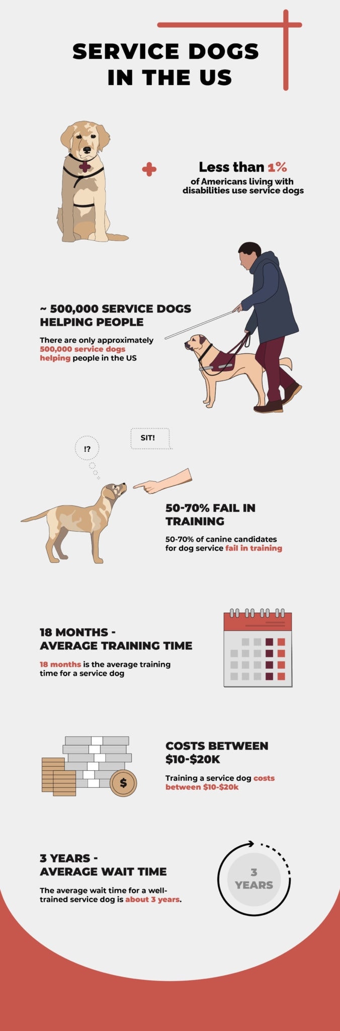 10 Interesting Service Dog Statistics (Updated in 2025) | Hepper Pet ...