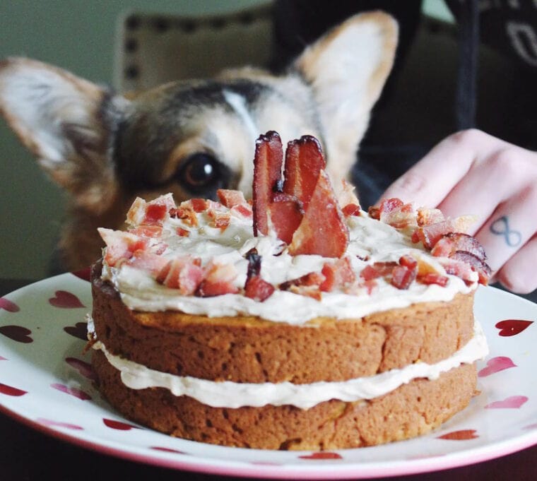 9 Homemade Dog Cake Recipes (Vet-Approved) | Hepper Pet Resources