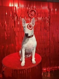 What Kind of Dog Is the Target Dog? Bullseye the Target Dog’s Story ...