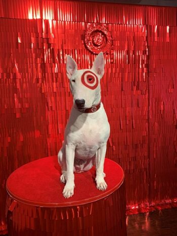 What Kind of Dog Is the Target Dog? Bullseye the Target Dog’s Story ...