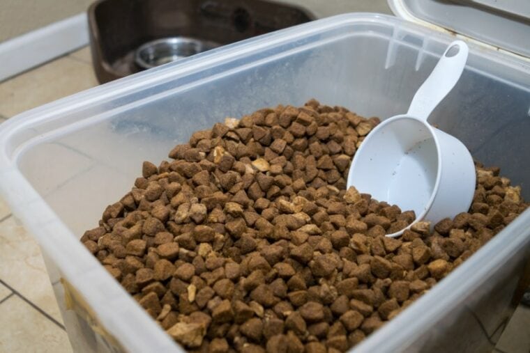 How to Save Money on Dog Food: 10 Expert Tips | Hepper Pet Resources