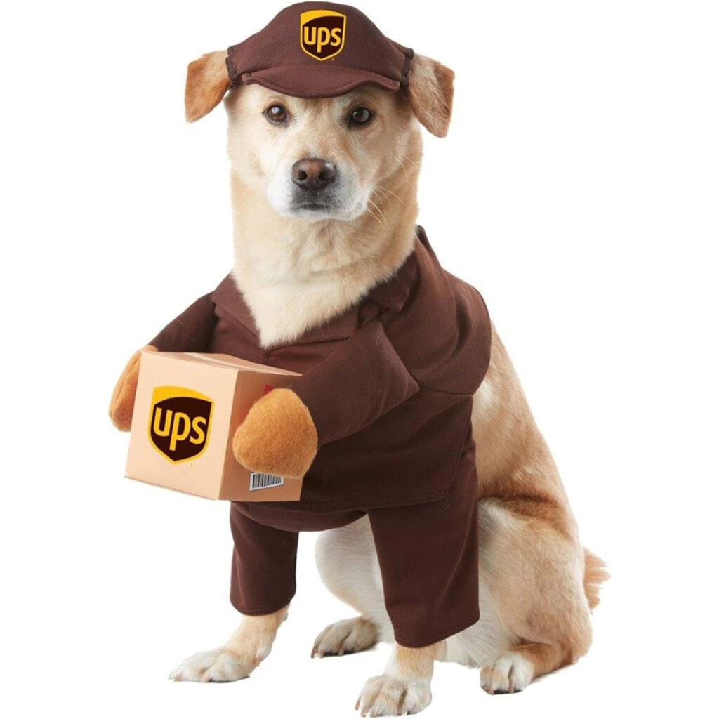 9 Best Costumes for Dogs (Small & Large Breeds) in 2026 - Reviews & Top ...