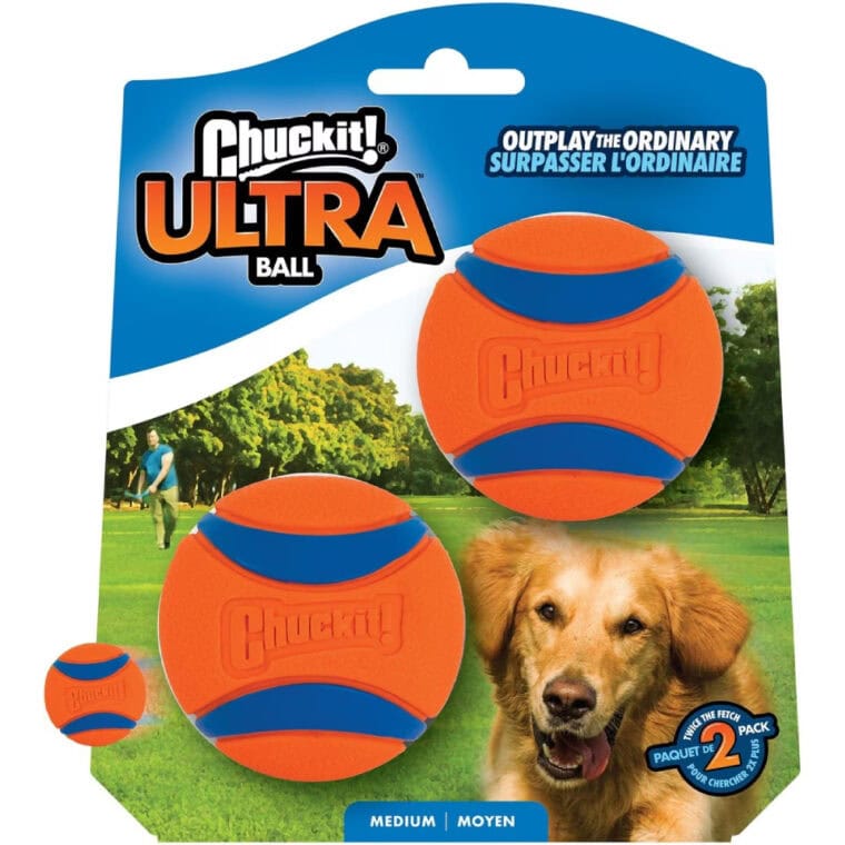 12 Best Toys for Boston Terriers — 2026 Reviews & Top Picks | Hepper ...