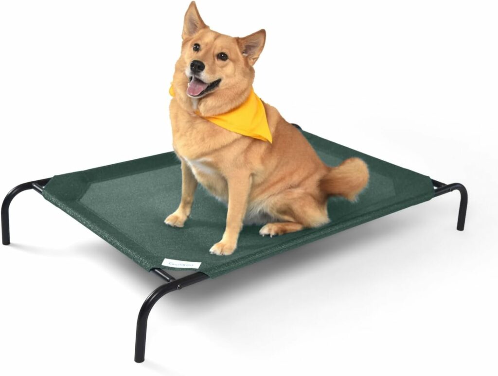 10 Best Dog Beds in 2026 - Reviews & Top Picks | Hepper Pet Resources
