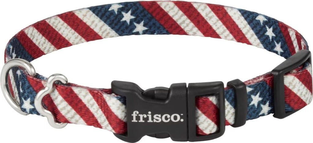 10 Best Dog Collars – 2026 Reviews & Top Picks | Hepper Pet Resources