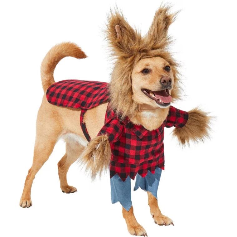 8 Best Halloween Costumes for Dogs (Small & Large) - 2026 Reviews & Top ...