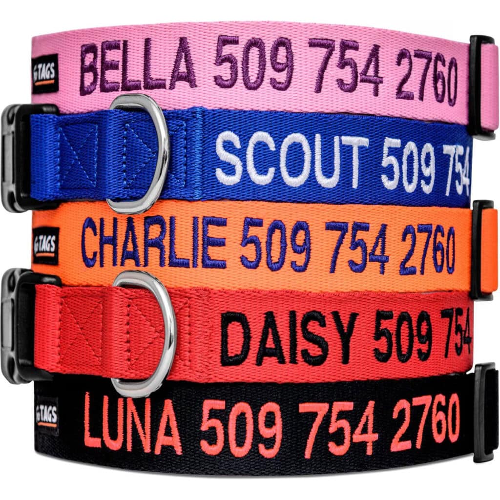 10 Best Dog Collars – 2026 Reviews & Top Picks | Hepper Pet Resources