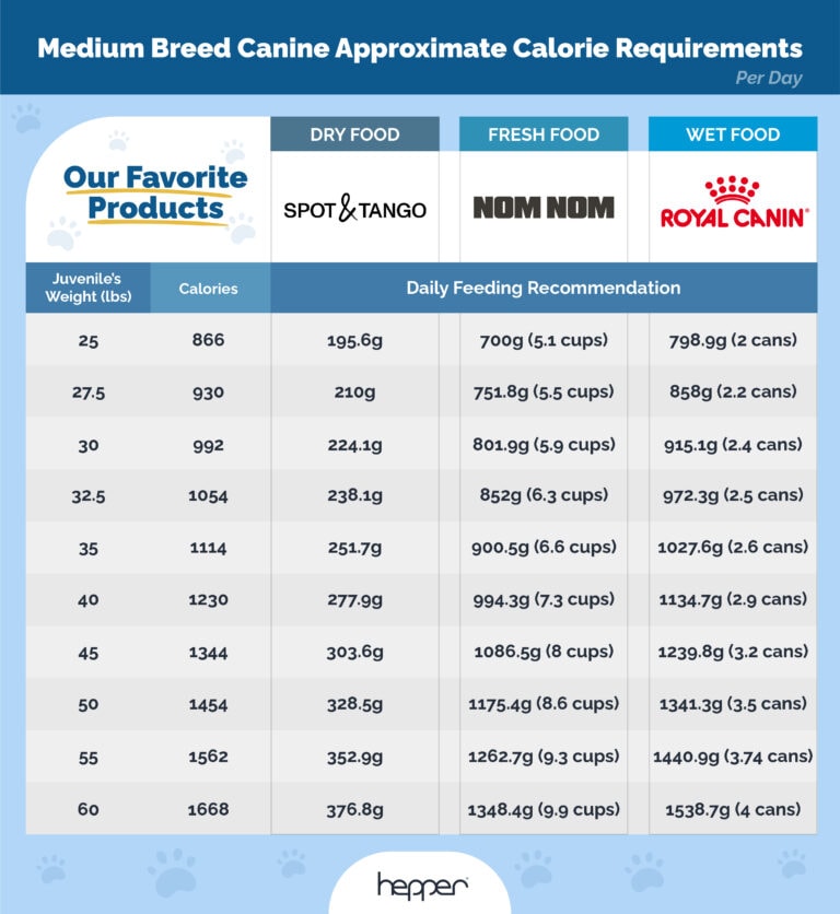 How Much Should You Feed a Pug? Feeding Chart & Health Tips | Hepper ...