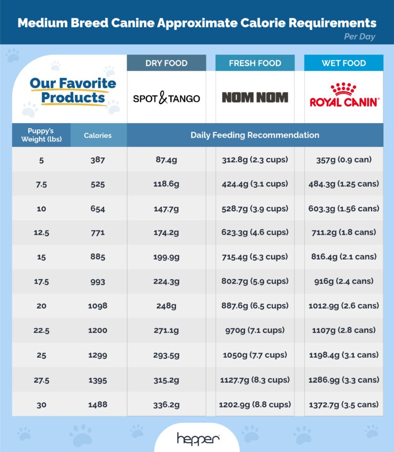 How Much Should You Feed a Pug? Feeding Chart & Health Tips | Hepper ...