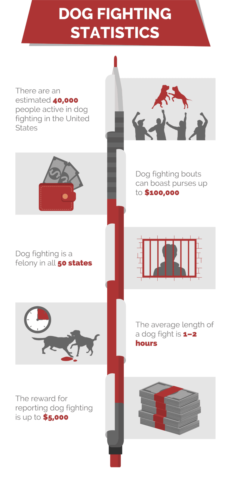 10 Shocking Dog Fighting Facts & Statistics in 2026 | Hepper Pet Resources