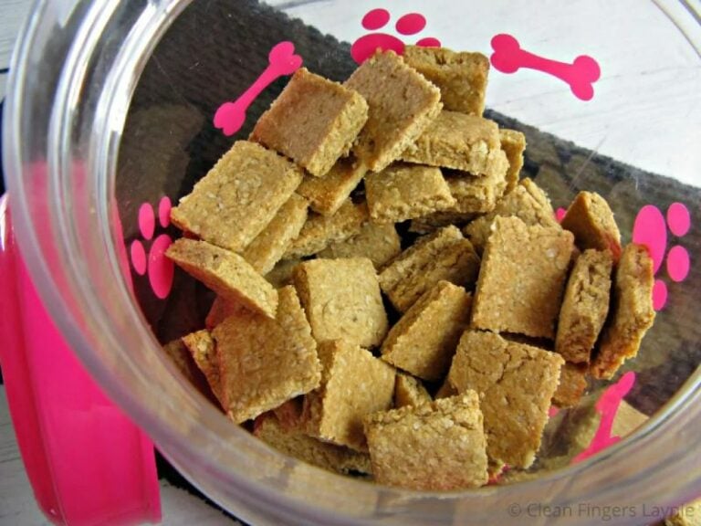 Gluten Intolerance in Dogs: Vet-Verified Causes, Signs & Care Tips ...