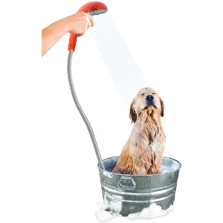 8 Best Dog Shower Heads in 2026 - Reviews & Top Picks | Hepper Pet ...