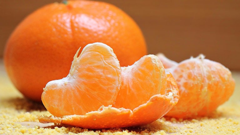 Can Dogs Eat Mandarins? Nutrition Facts & Safety Guide | Hepper Pet ...
