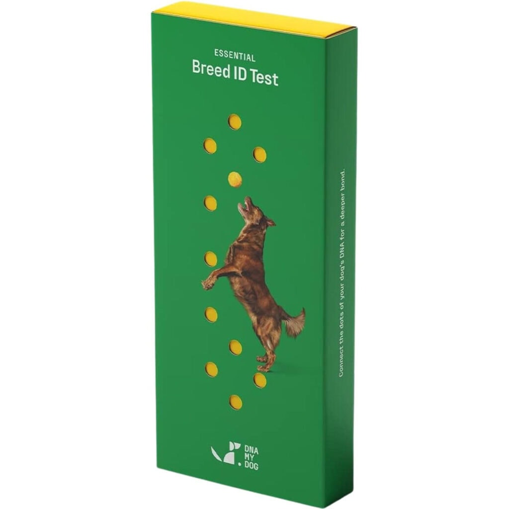 7 Best Dog DNA Test Kits in 2025 - Reviews & Top Picks | Hepper Pet ...