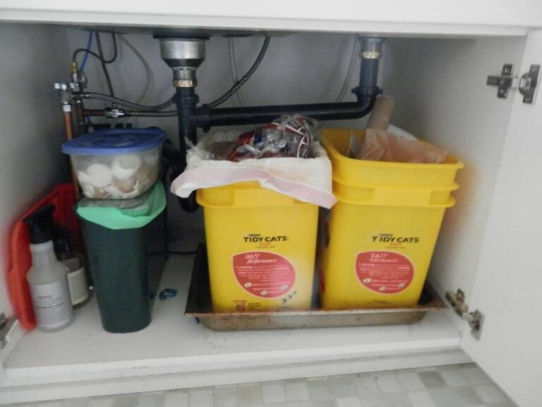 What to Do With Empty Cat Litter Jugs: 11 Uses You Can Try Today ...