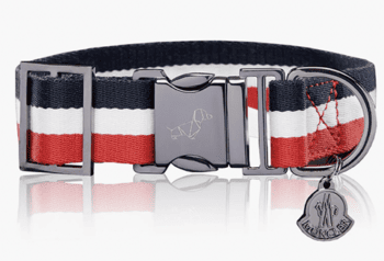 12 Best Designer Dog Collar Brands in 2025: High-End Options | Hepper ...