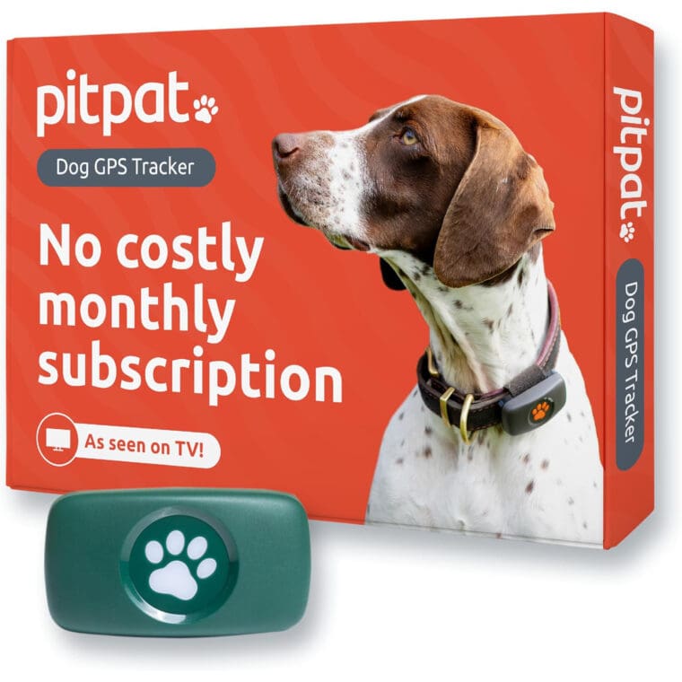 9 Best Dog GPS Trackers & Collars in 2026 - Reviews & Top Picks ...
