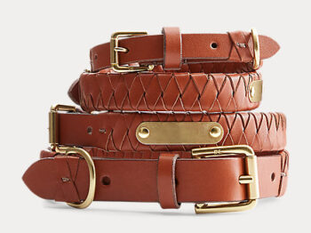 12 Best Designer Dog Collar Brands in 2025: High-End Options | Hepper ...