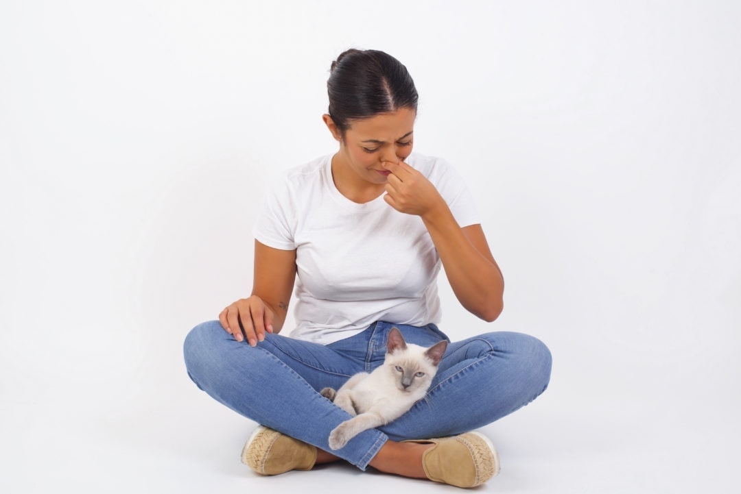 11 Likely Reasons Why Your Cat Smells Bad: What to Do About It ...
