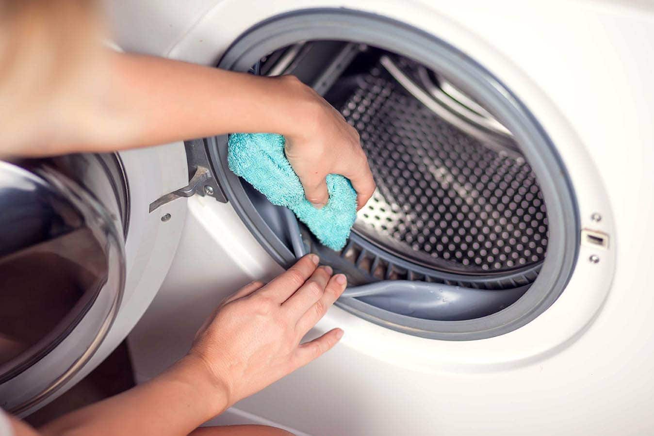 How to Remove Dog Hair From Your Washing Machine (6 Easy Steps ...